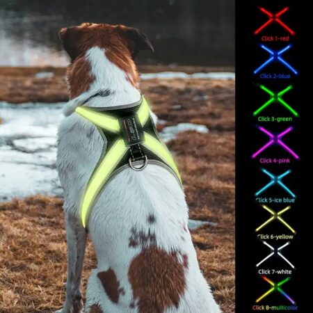 LED Dog Harness: For Night Walks & Outdoor Adventures