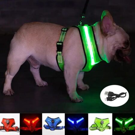 LED Dog Harness: For Night Walks & Outdoor Adventures