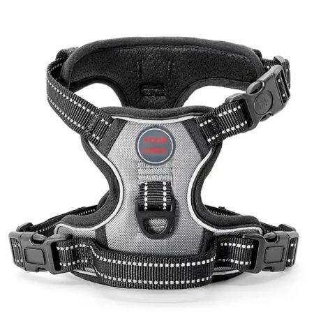 Small Dog Harness: Perfect Fit for Your Little Companion