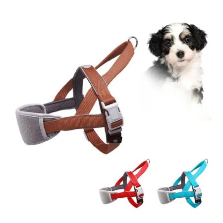 Pitbull Harness: Perfect Fit for Strength and Comfort