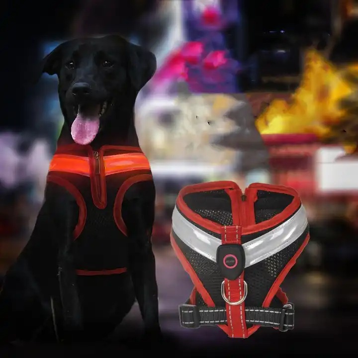 LED Dog Harness: For Night Walks & Outdoor Adventures