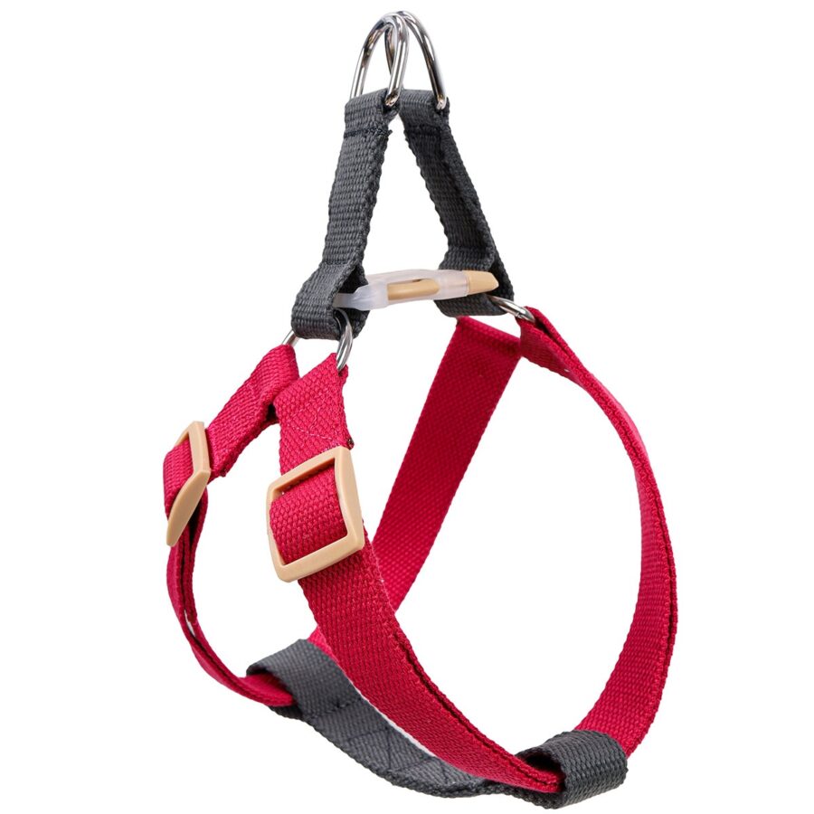 Step in Dog Harness