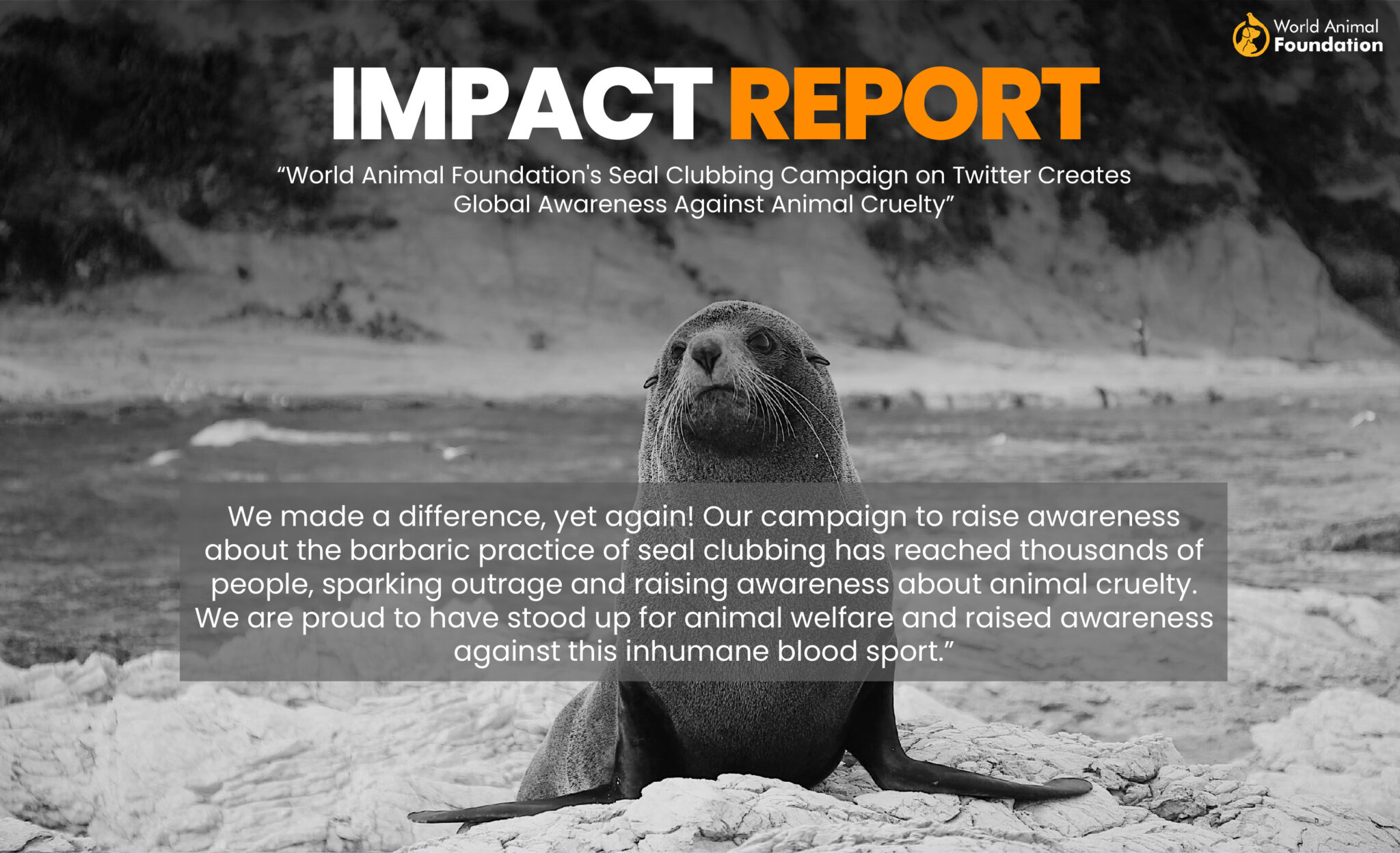 Seal Club Meaning at Isaac Dadson blog