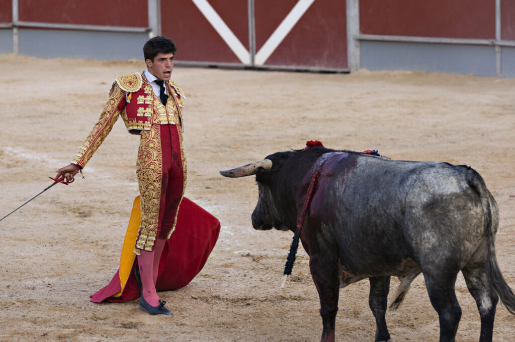 Bullfighting cruel - WAF