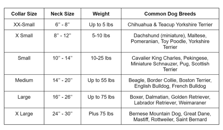 How To Measure For A Dog Collar? - Complete Guide 2024