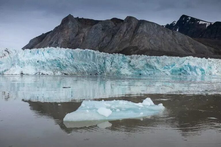 An Overview Of Habitats – Definition, Types, Purpose & More