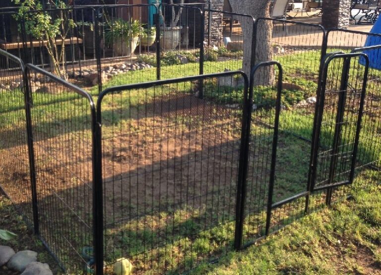 7 Best Portable Dog Fences Top Picks & Buying Guide - WAF