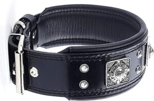 7 Best Dog Collars For Pitbull - Top Picks & Buying Guide