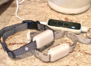 Best Dog Collars For Training - Reviews With Pros & Cons