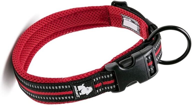 9 Best Reflective Dog Collars For Style And Safety
