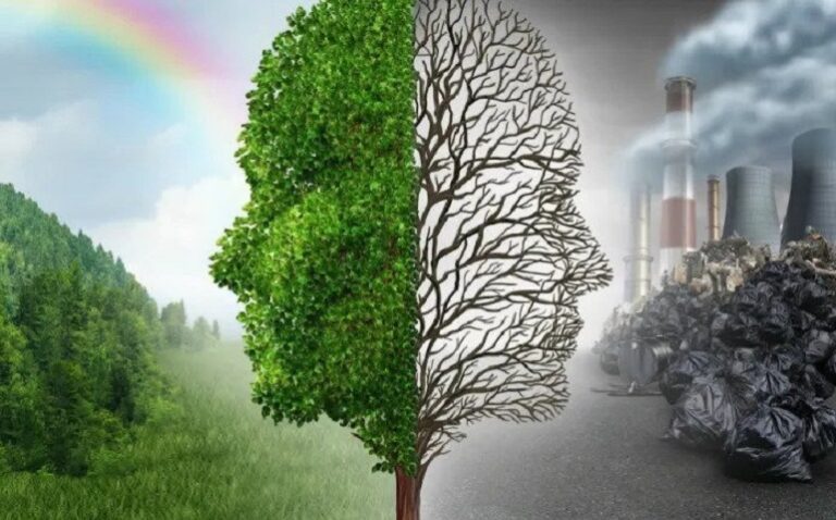 An Overview Of Habitats – Definition, Types, Purpose & More