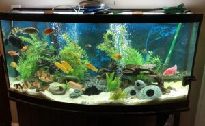 An Overview Of Habitats – Definition, Types, Purpose & More