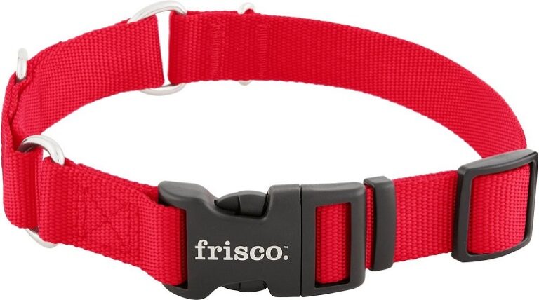 8 Best Dog Collars For Pulling -Top Picks & Buying Guide