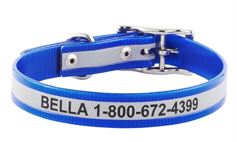 9 Best Reflective Dog Collars For Style And Safety