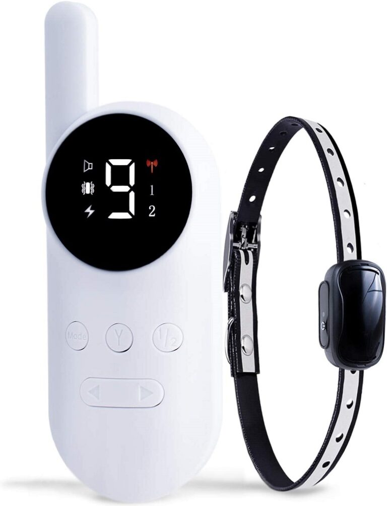 7 Best Vibrating Dog Collars In 2024 - WAF