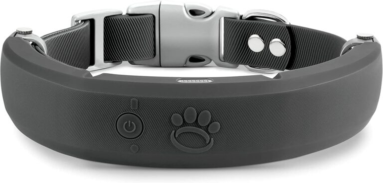 7 Best Smart Dog Collars [Remarkably Latest Tech]