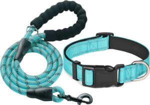 9 Best Reflective Dog Collars For Style And Safety
