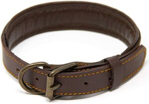 8 Best Leather Dog Collars - Top Picks & Buying Guide