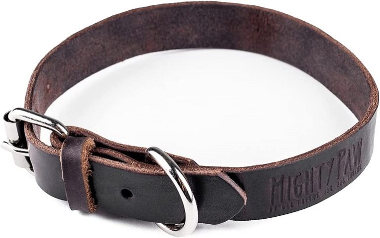 8 Best Dog Collars For Sensitive Skin - WAF