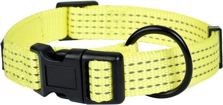 9 Best Reflective Dog Collars For Style And Safety