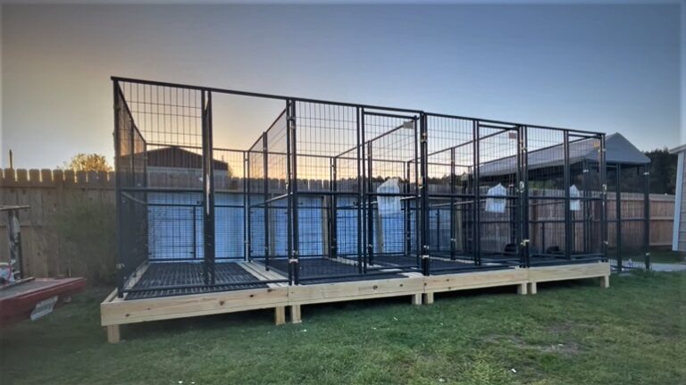 How To Keep Dog In Yard Without Fence? WAF