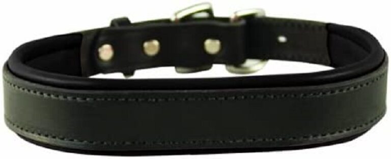 8 Best Dog Collars For Sensitive Skin - WAF