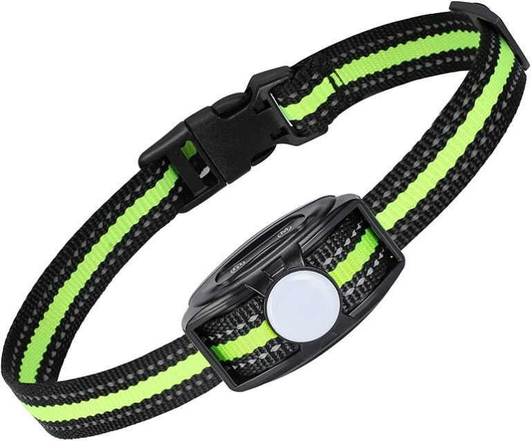 7 Best Vibrating Dog Collars In 2024 - WAF
