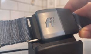 Fi Vs Halo Collar - Which One’s Better For Your Pup?