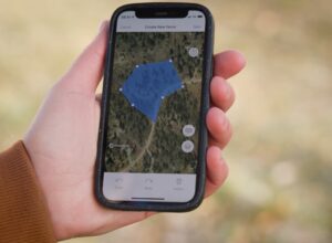 5 Best GPS Dog Fences Reviews 2023 For Your Active Pooch!