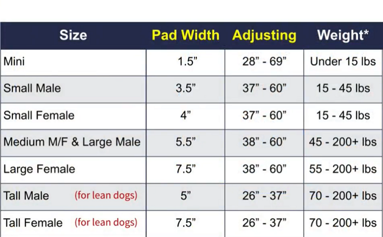 How To Measure A Dog For A Harness- Complete Guide - WAF