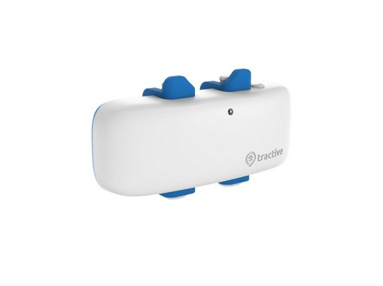 5 Best GPS Dog Fences Reviews 2023 For Your Active Pooch!