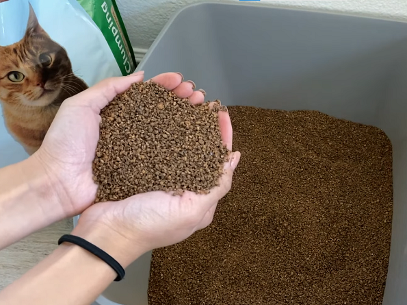What Is Cat Litter Made Of | And What Works Best?