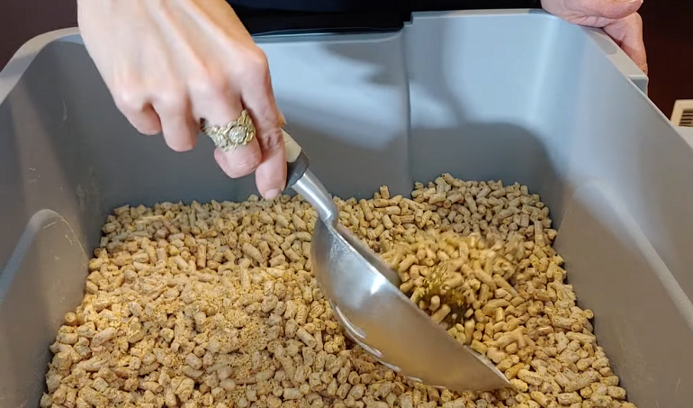 How Often To Change Cat Litter (Everything You Need To Know) How Often To Change Cat Litter (Everything You Need To Know)