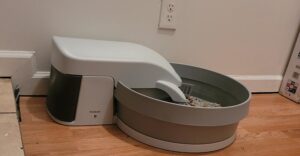 10 Best Automatic Litter Boxes For Cats In 2023 - Best Self-Cleaning ...