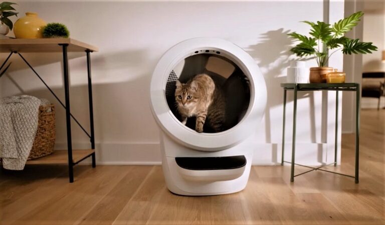 How Much Cat Litter To Use? (Choosing The Right Amount)