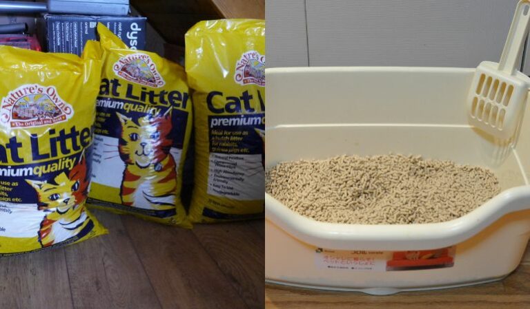 How Much Cat Litter To Use? (Choosing The Right Amount)