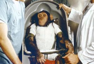 History Of Animal Testing - An Appalling Affair - WAF