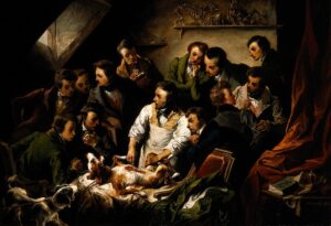 History Of Animal Testing - An Appalling Affair - WAF