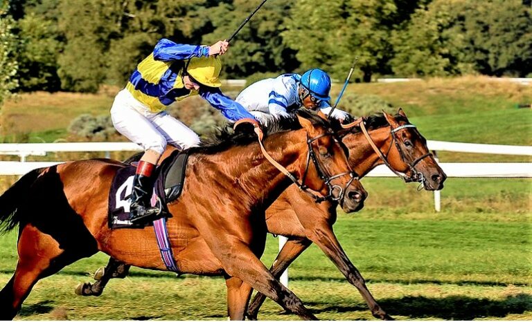 Is Horse Racing Cruel? Plus Why You Shouldn’t Support It?