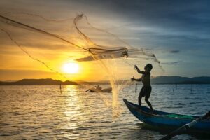 What Is Poaching? The Horrendous Crime Explained