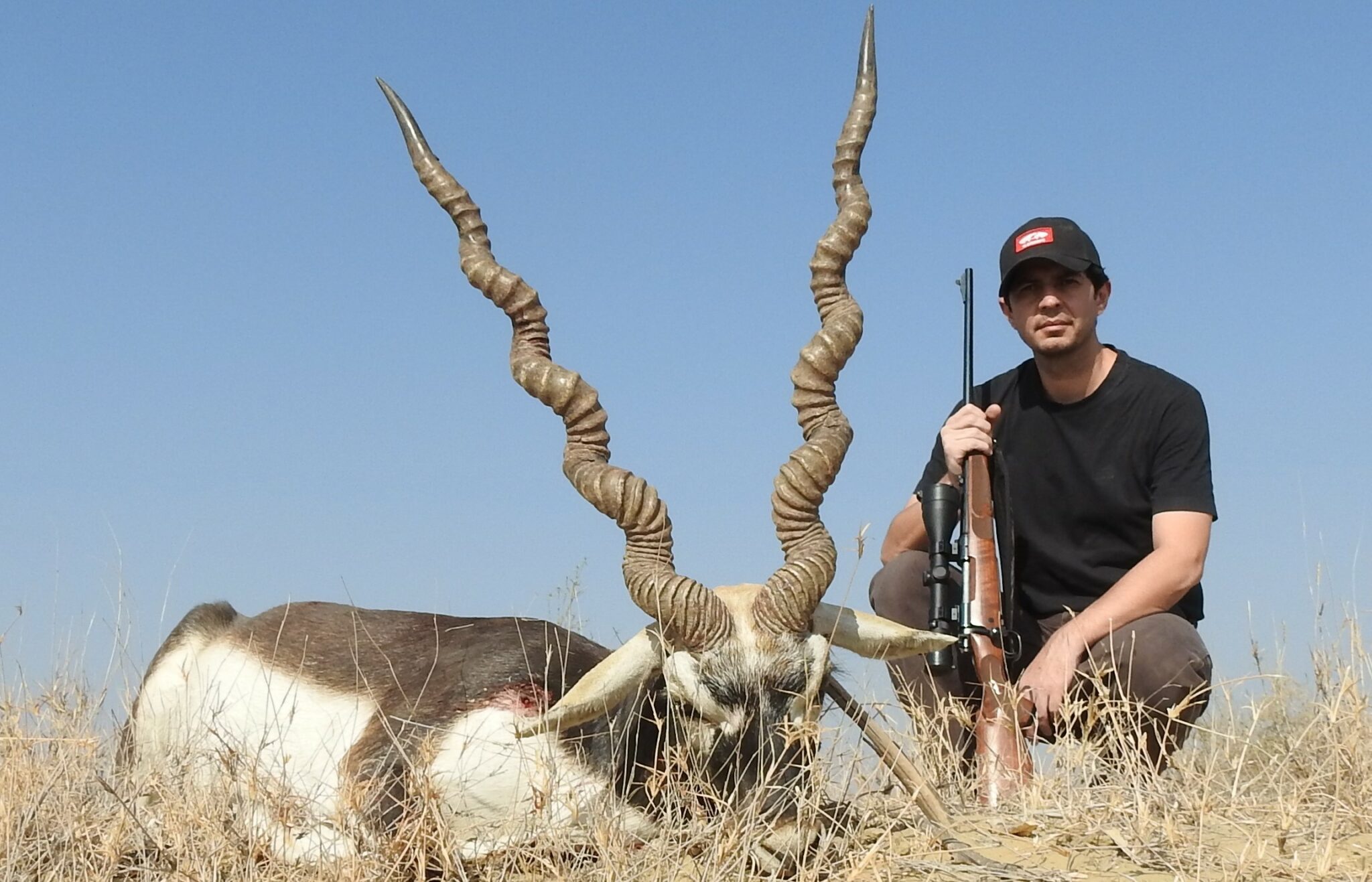 Hunting Wild Animals To Extinction - How Can We Stop It?