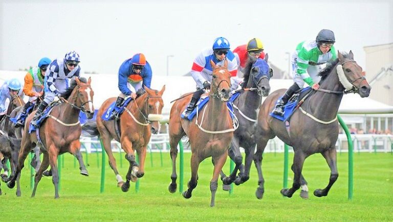 Is Horse Racing Cruel? Plus Why You Shouldn’t Support It?