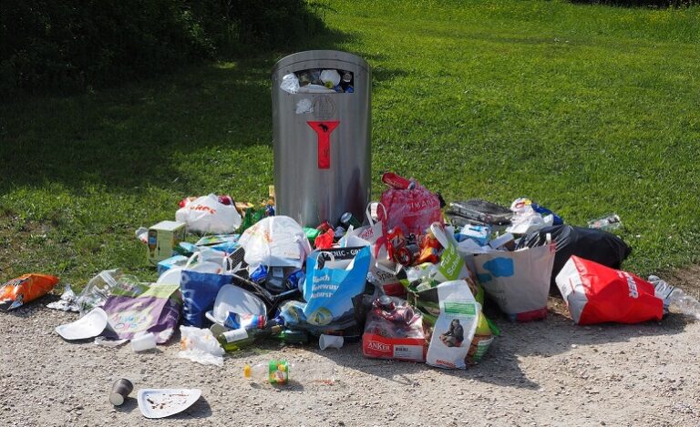 What Is Littering? Distressing Facts & Its Repercussions!