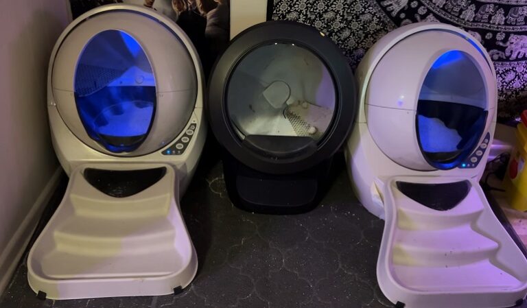 Litter Robot 3 Vs 4 - Is It Worth Upgrading To New Model??