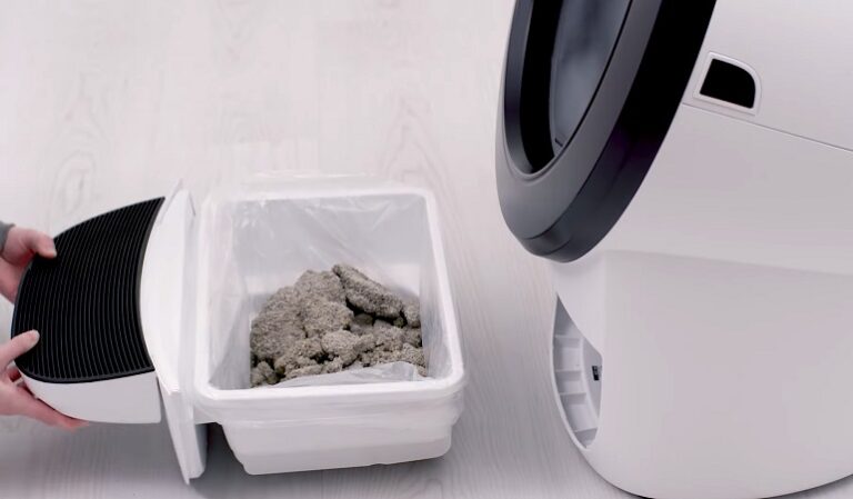 Litter Robot 3 Vs 4 - Is It Worth Upgrading To New Model??