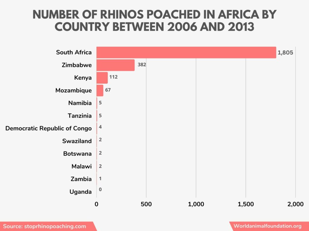Rhino Poaching Graph