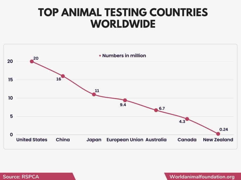 Animal Testing Statistics - Eye-Opening Facts You Must Know!