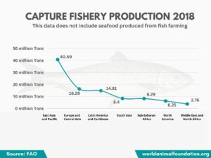 Overfishing Statistics – Global Perspective On Fish Stocks
