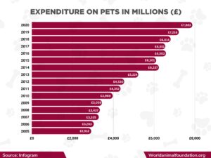 All About Pet Ownership Statistics UK – Nation Of Pet Lovers