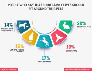 Interesting Statistics About The Most Popular Pets In UK